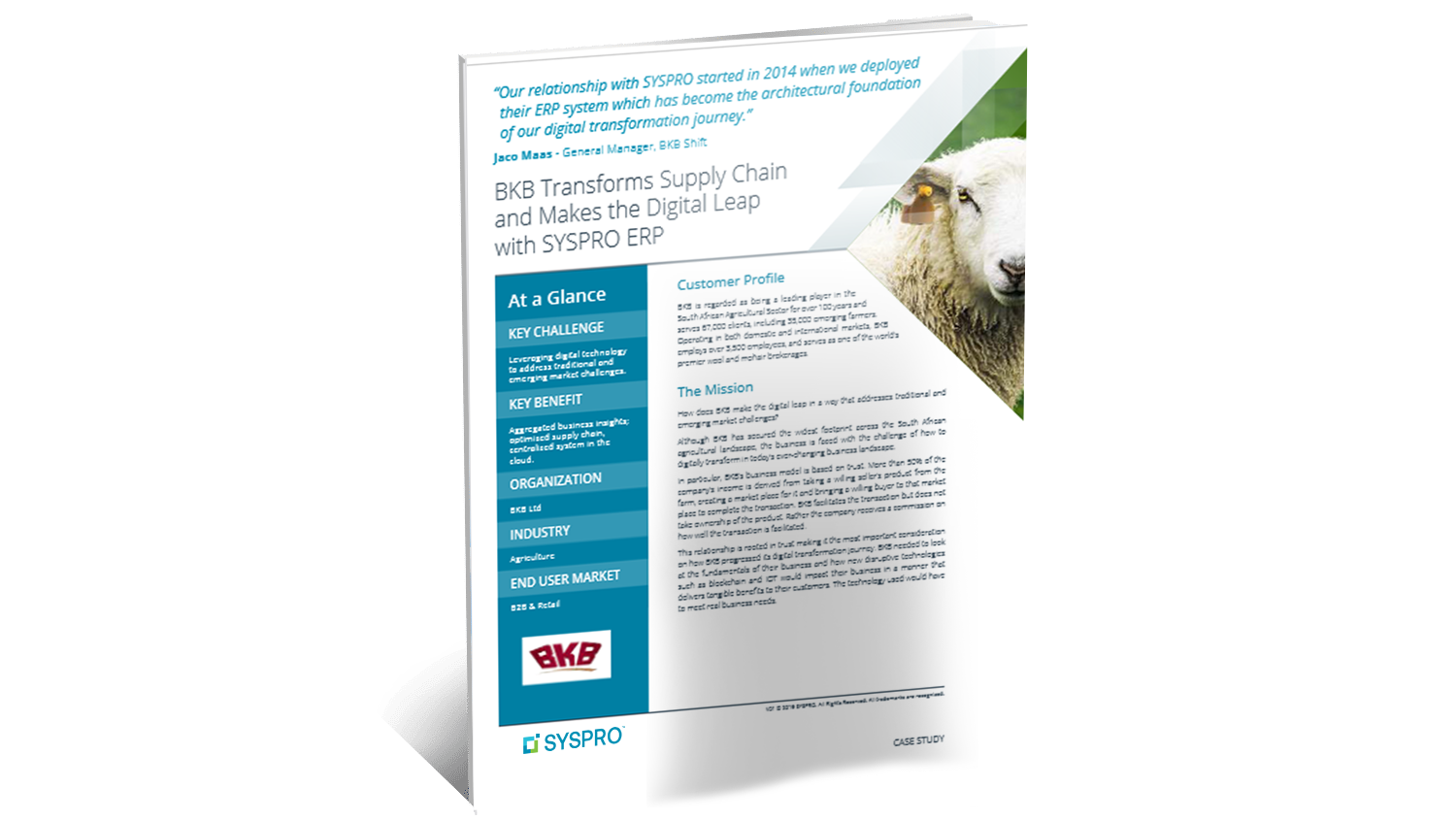 BKB - SYSPRO - Asia
